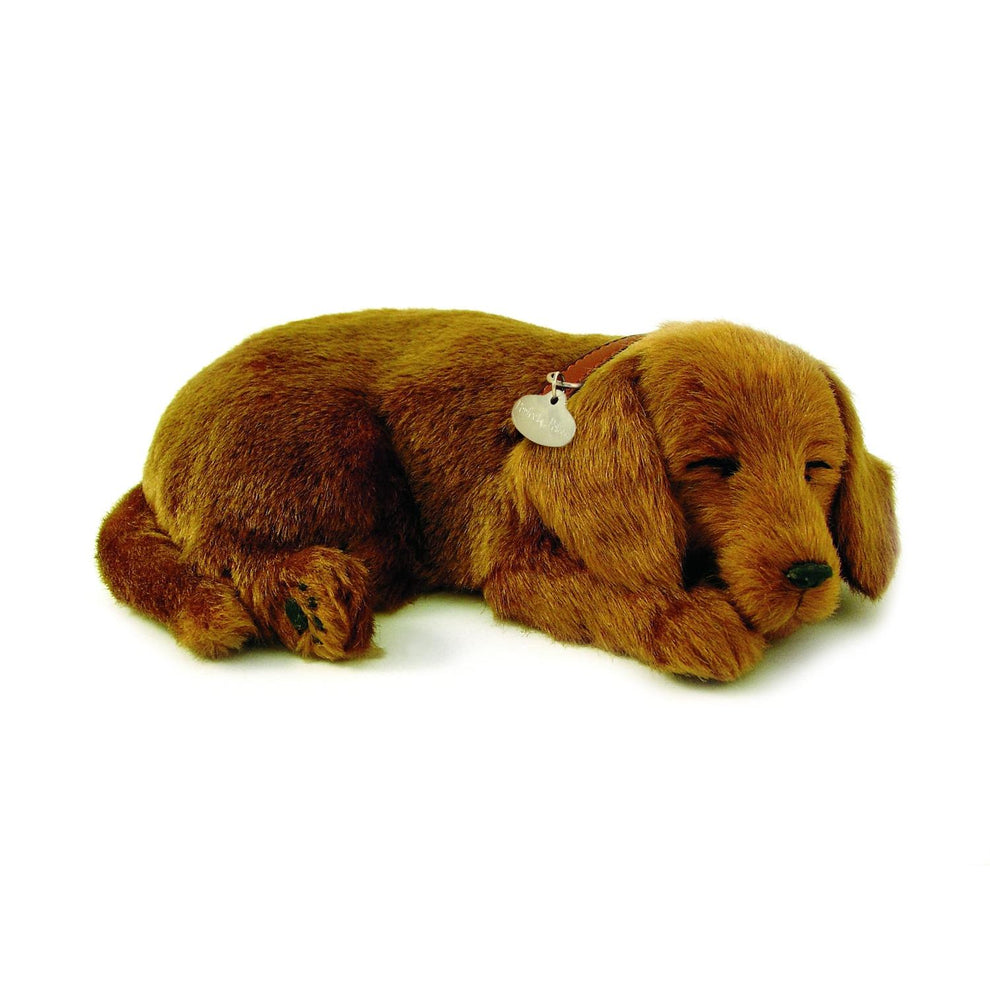 Perfect Petzzz - Dachshund – Yarrawonga Fun and Games. Unique Toys and ...